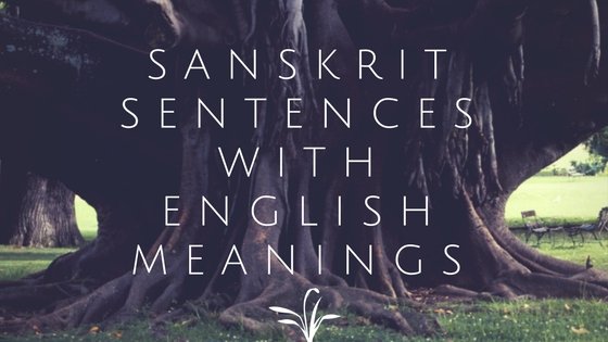 Sanskrit sentences with their meanings in English