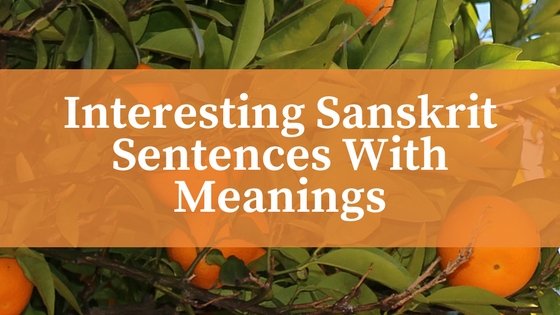 Five Interesting Sanskrit Sentences With Meanings