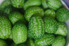 What is Chibber Called in English
